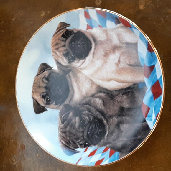 Art | Three Little Pugs By Simon Mendez Limited Edition Plate | Poshmark